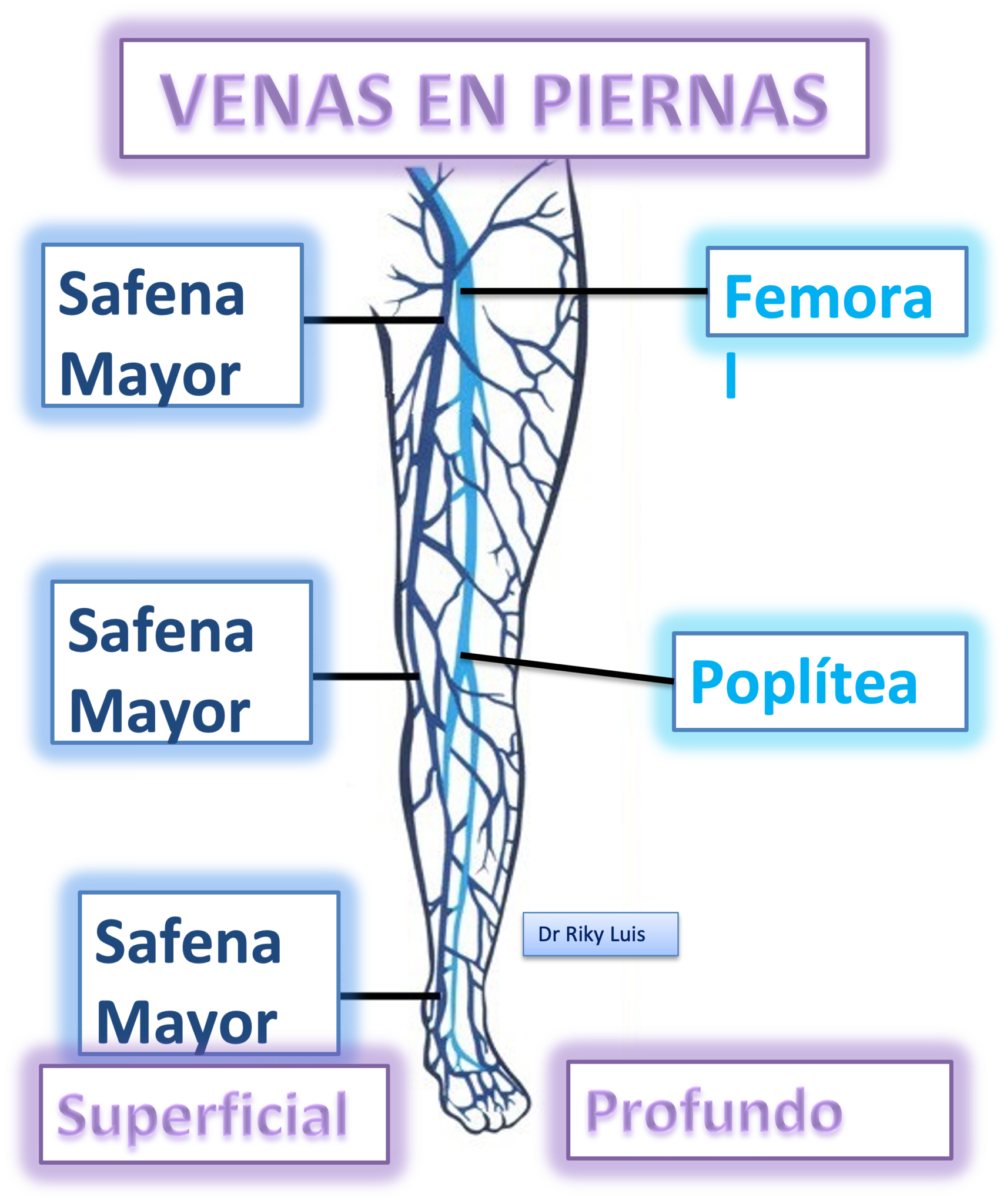 ☝️👨‍⚕️Venas Normales y sanas🔵 - Clinica Vena Sana